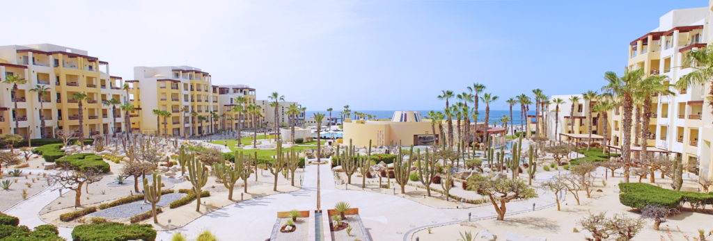 Wooo Cabo! - awa Travels