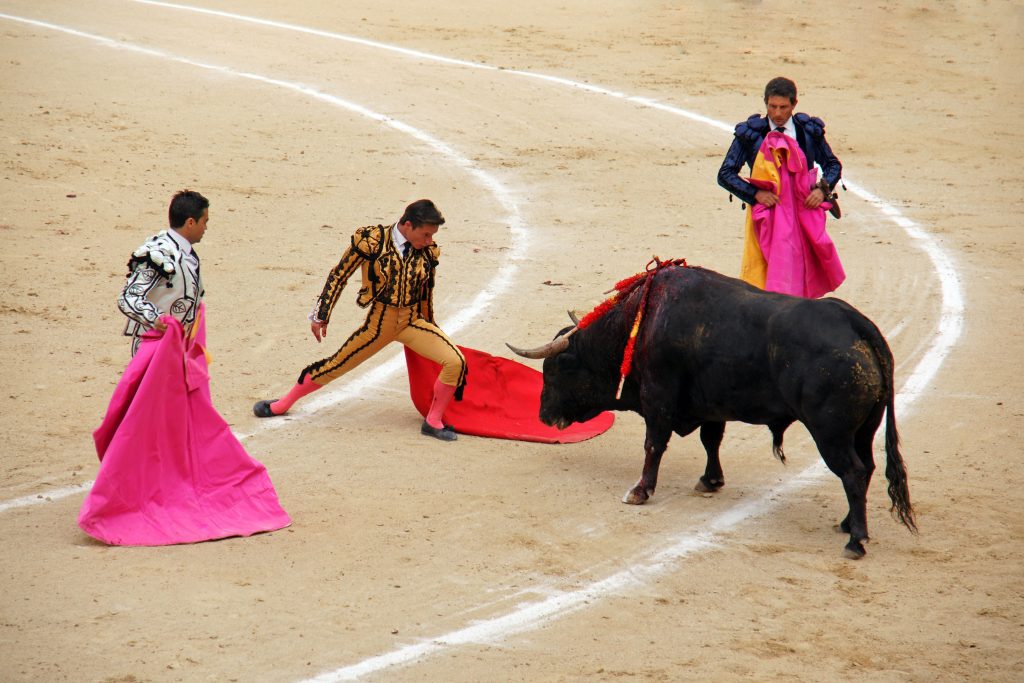 Tauromaquia - awa Travels
