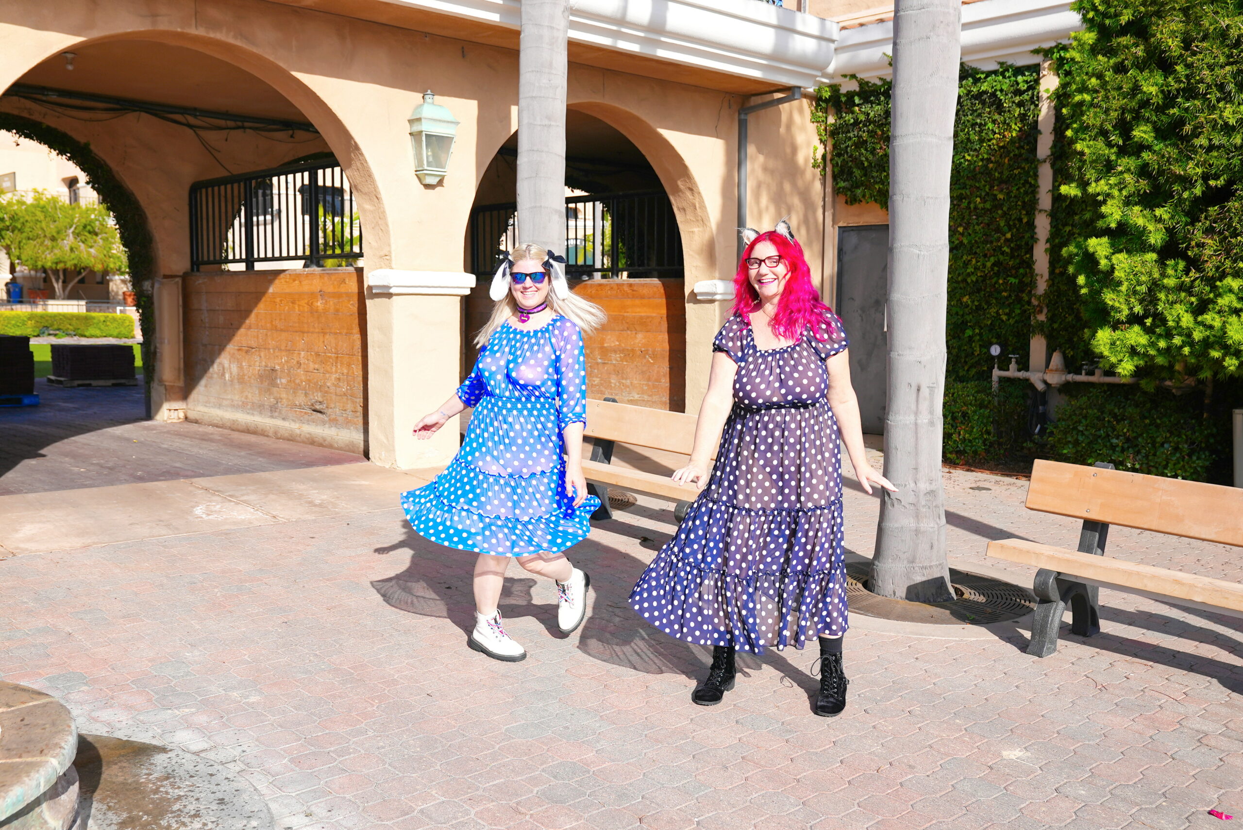 Cat Show - awa Travels