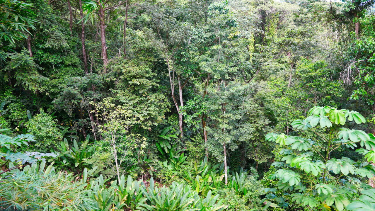 Costa Rica - Dominical - awa Travels